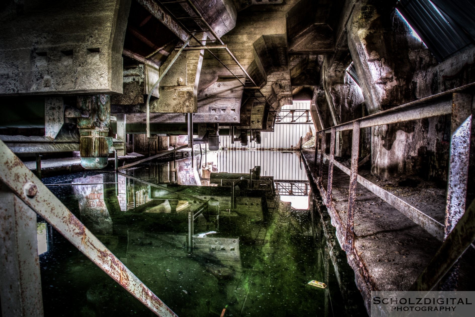 - Scholzdigital Photography