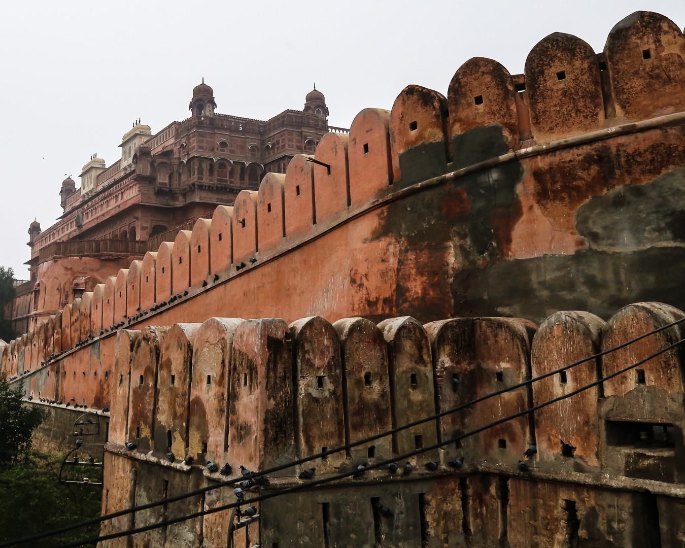 Indien - Junagarh Fort - Scholzdigital Photography